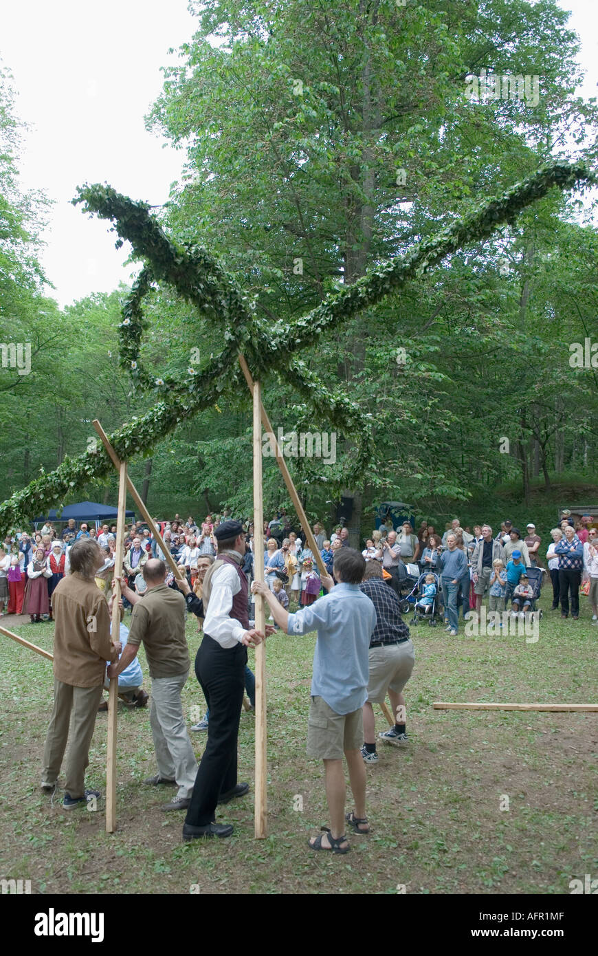 Rising of a maypole in Sweden Stock Photo - Alamy
