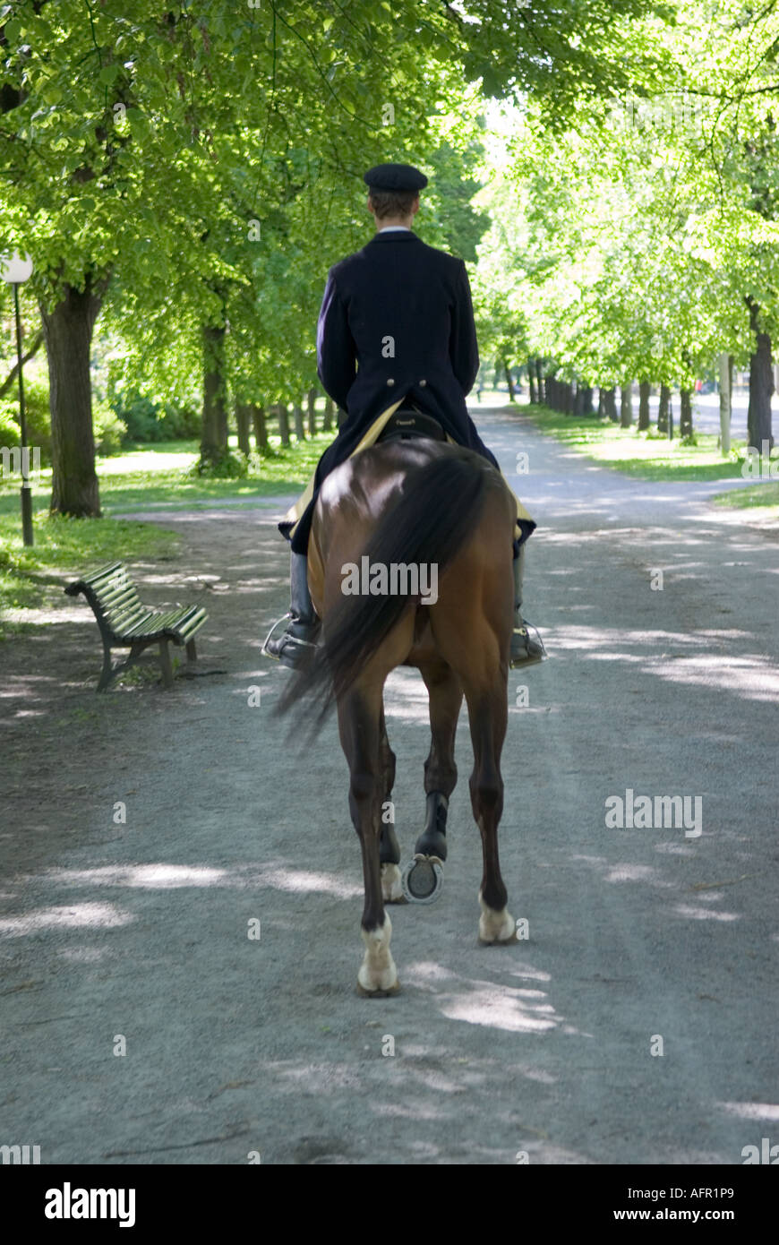 Cavalry soldier on horse Stock Photo - Alamy