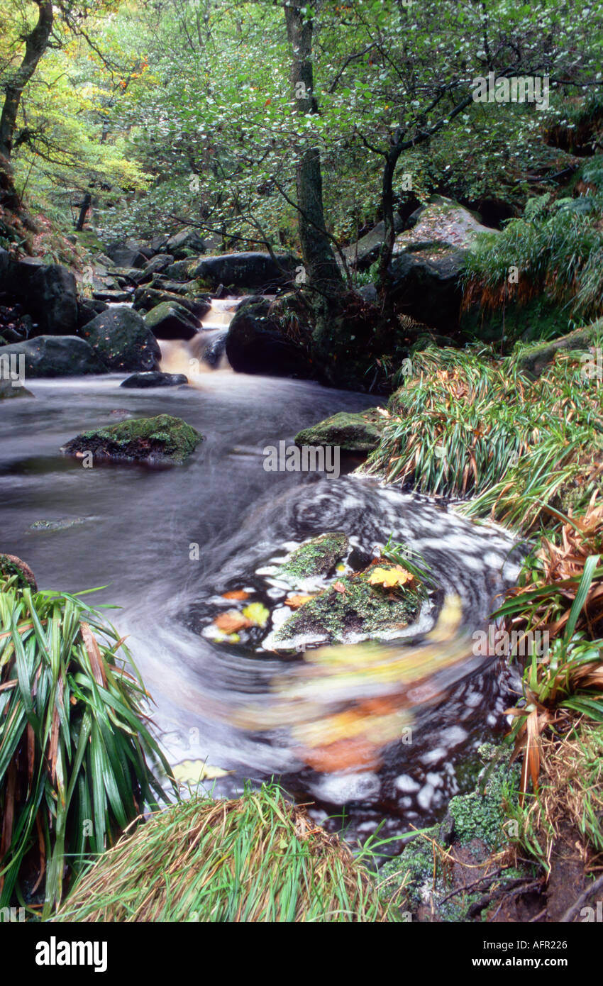 Nether padley hi-res stock photography and images - Alamy