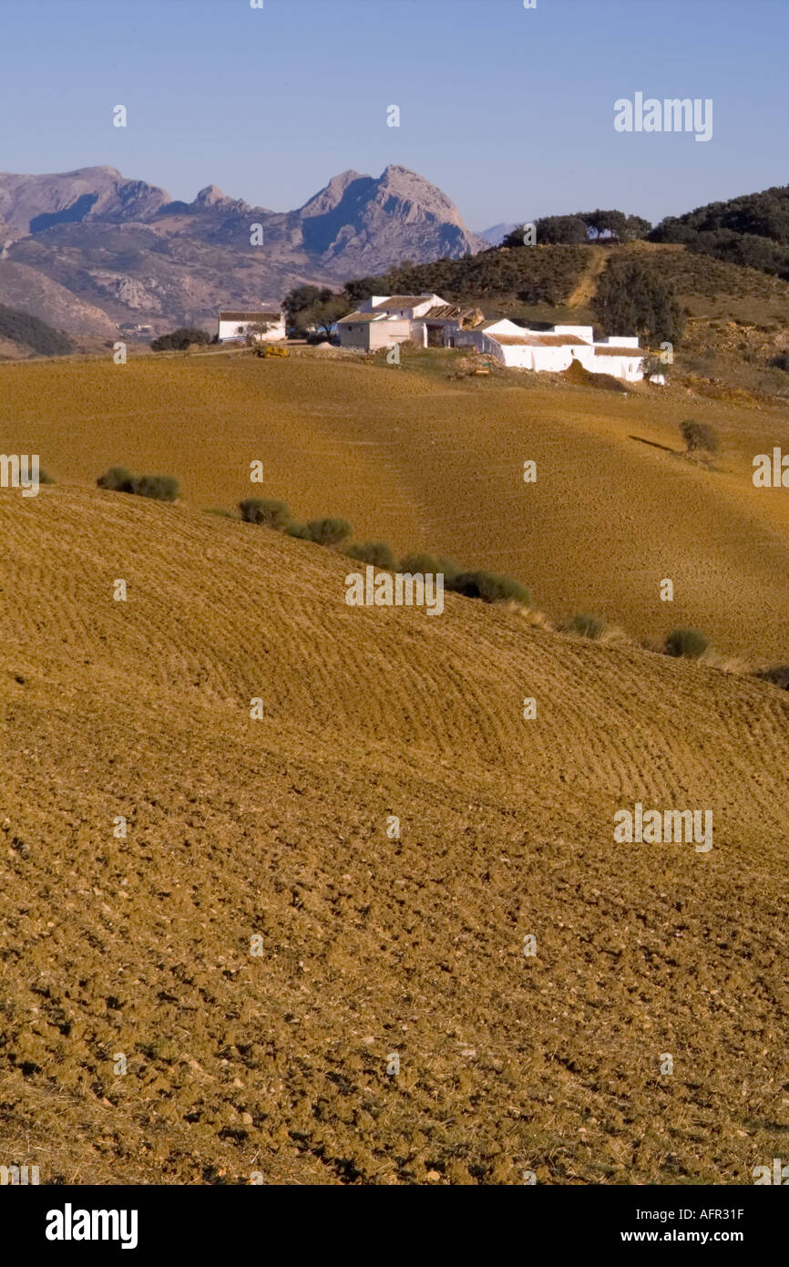 Spanish plough hi-res stock photography and images - Alamy