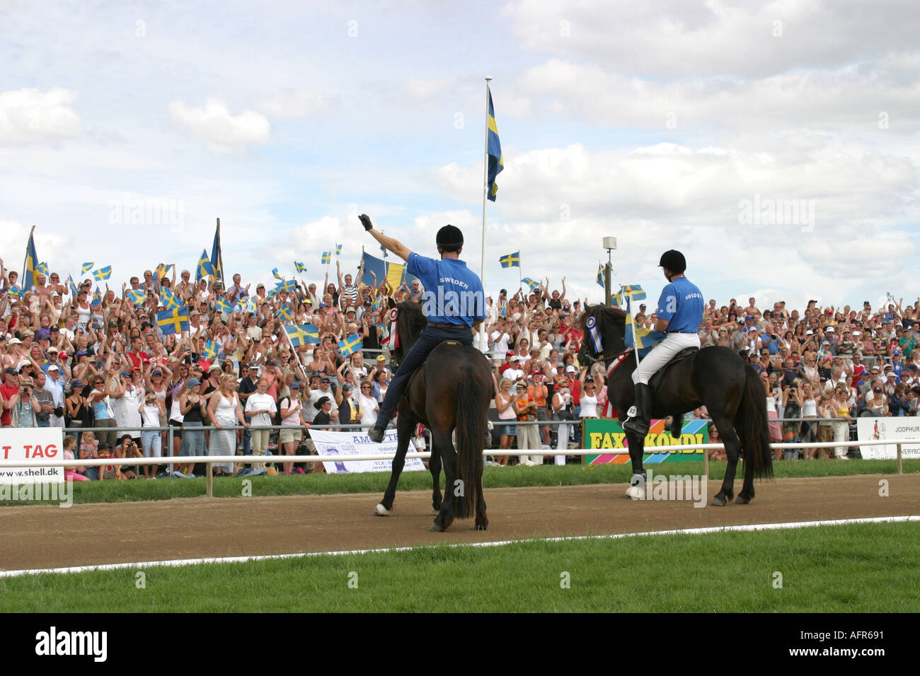 World championship iceland pony hi-res stock photography and images - Alamy