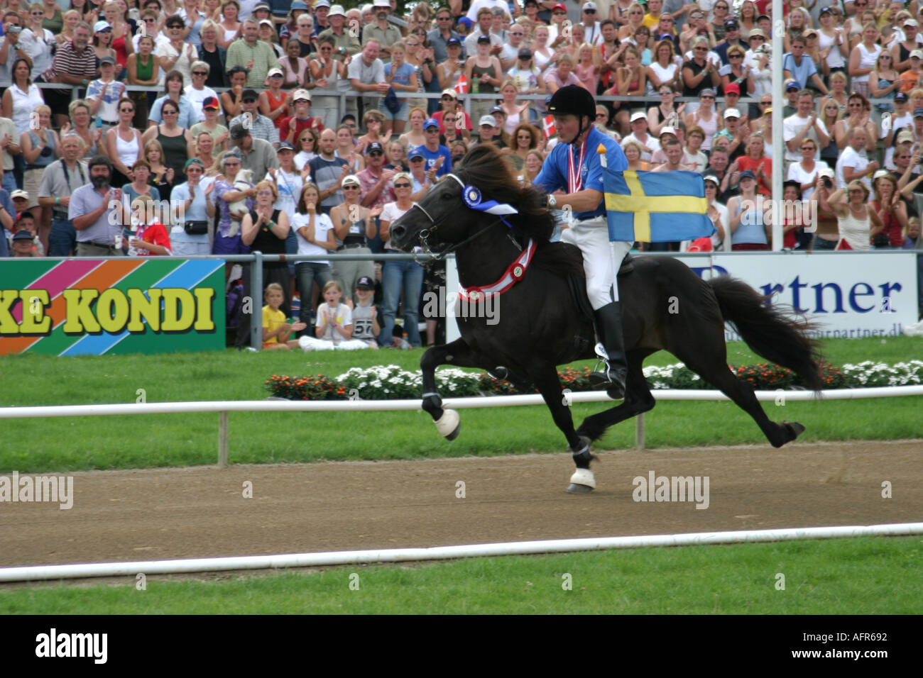 Rider with iceland pony at the lap of honour at the World Championship ...