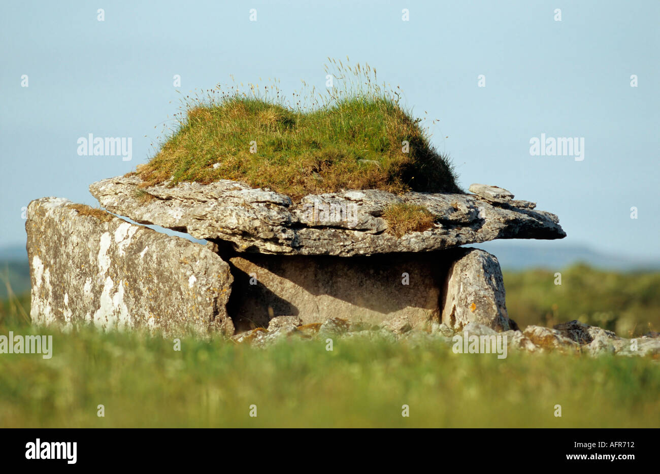 Parknabinnia Megalithic Wedge Tomb Stock Photo - Alamy