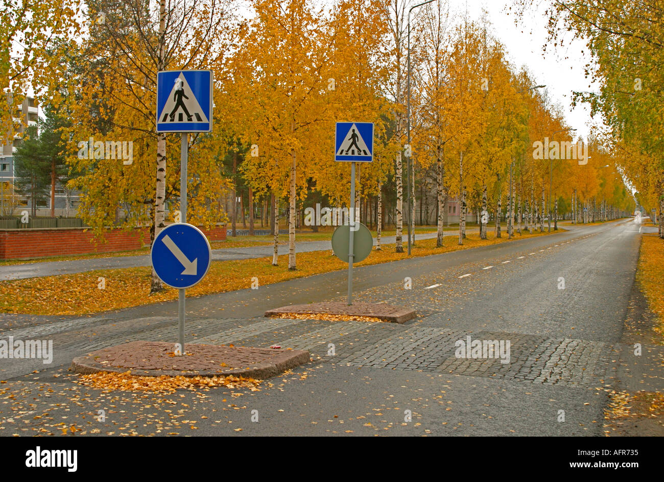Finnish Pedestrian crossing traffic sign over empty street , Finland ...