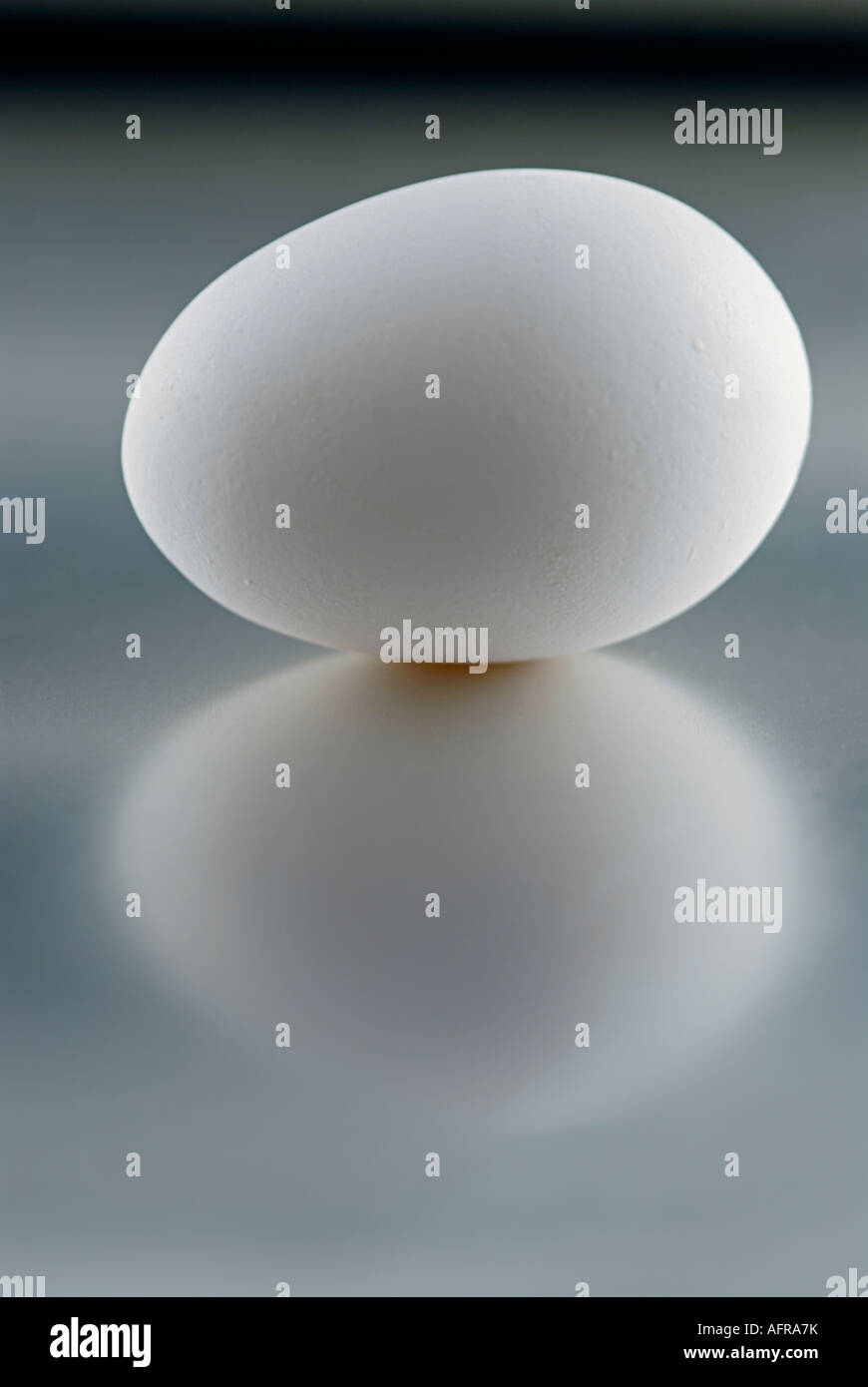 Single egg still life hi-res stock photography and images - Alamy