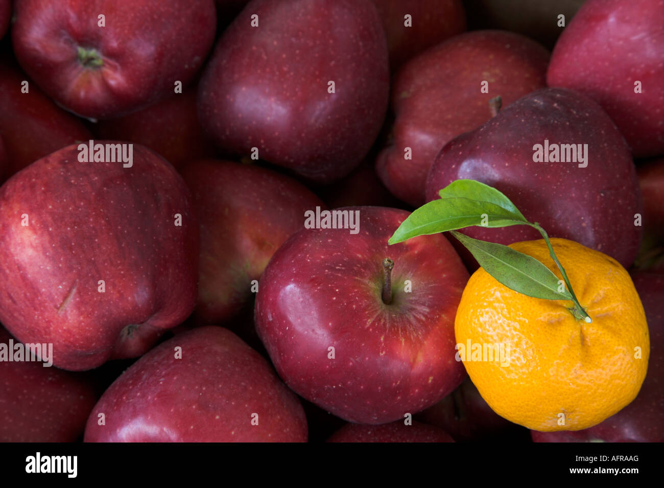 Mediterranean Apples and One Orange Stock Photo - Alamy