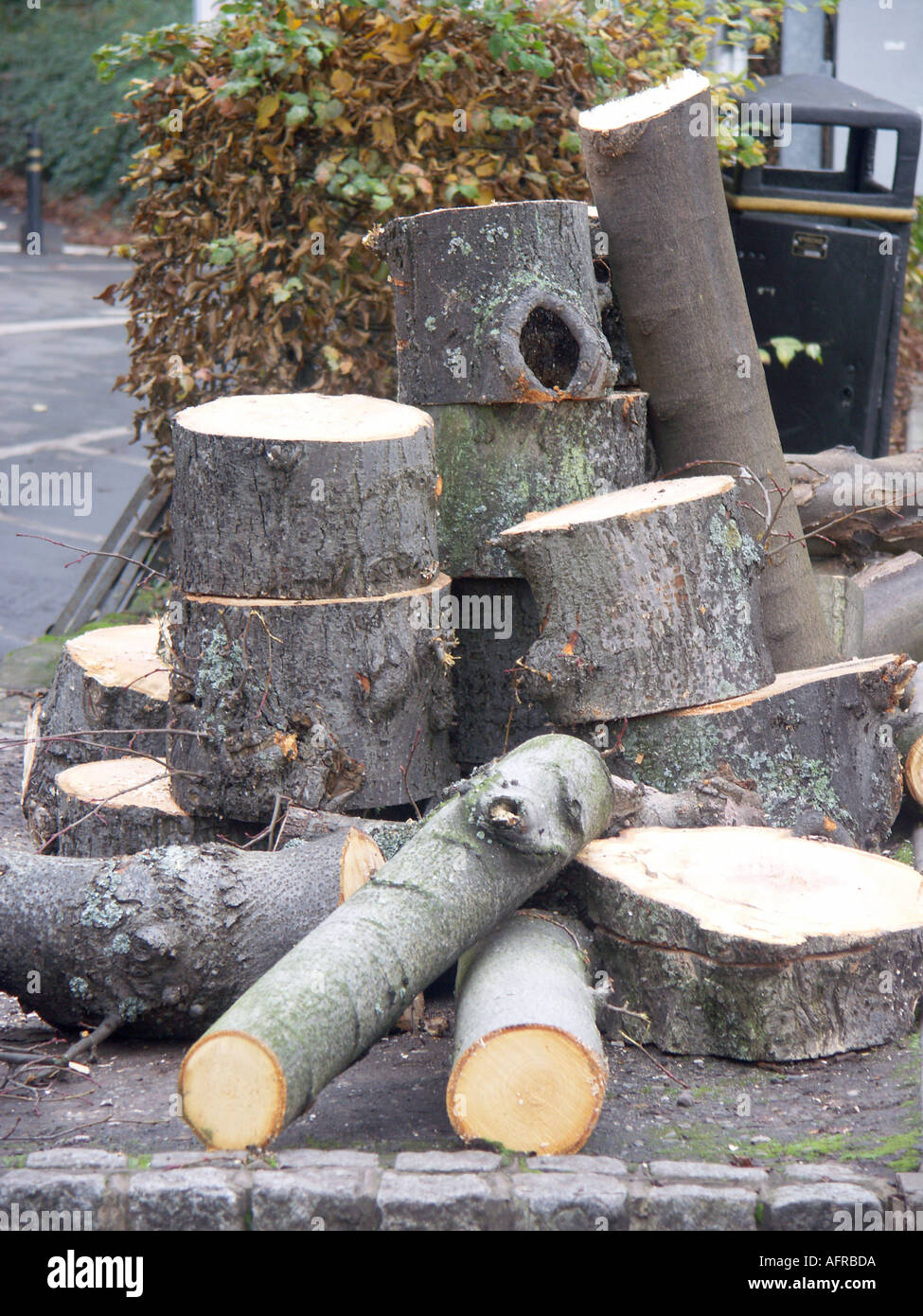 Unsafe felled hi-res stock photography and images - Alamy