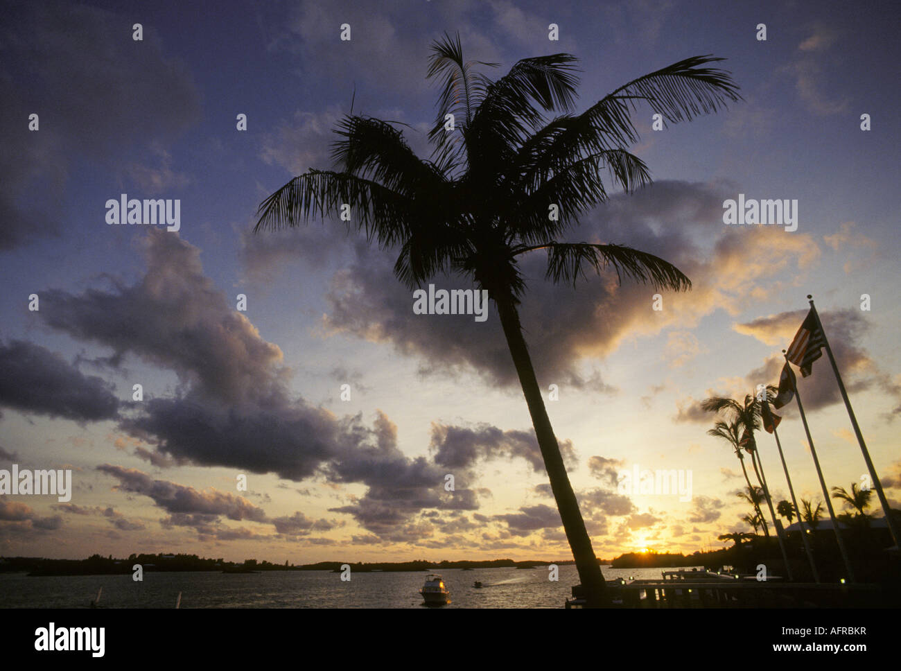 sunset flags palm trees boats clouds Hamilton Bermuda Stock Photo - Alamy