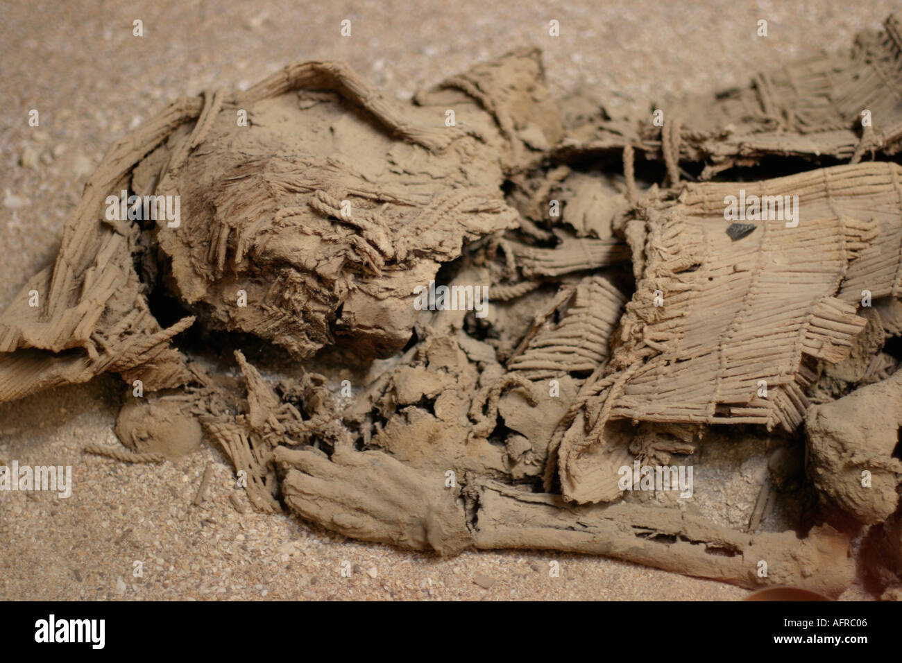 Human mummy Paraca pre Inca culture Cerro Colorado museum Peru Stock ...
