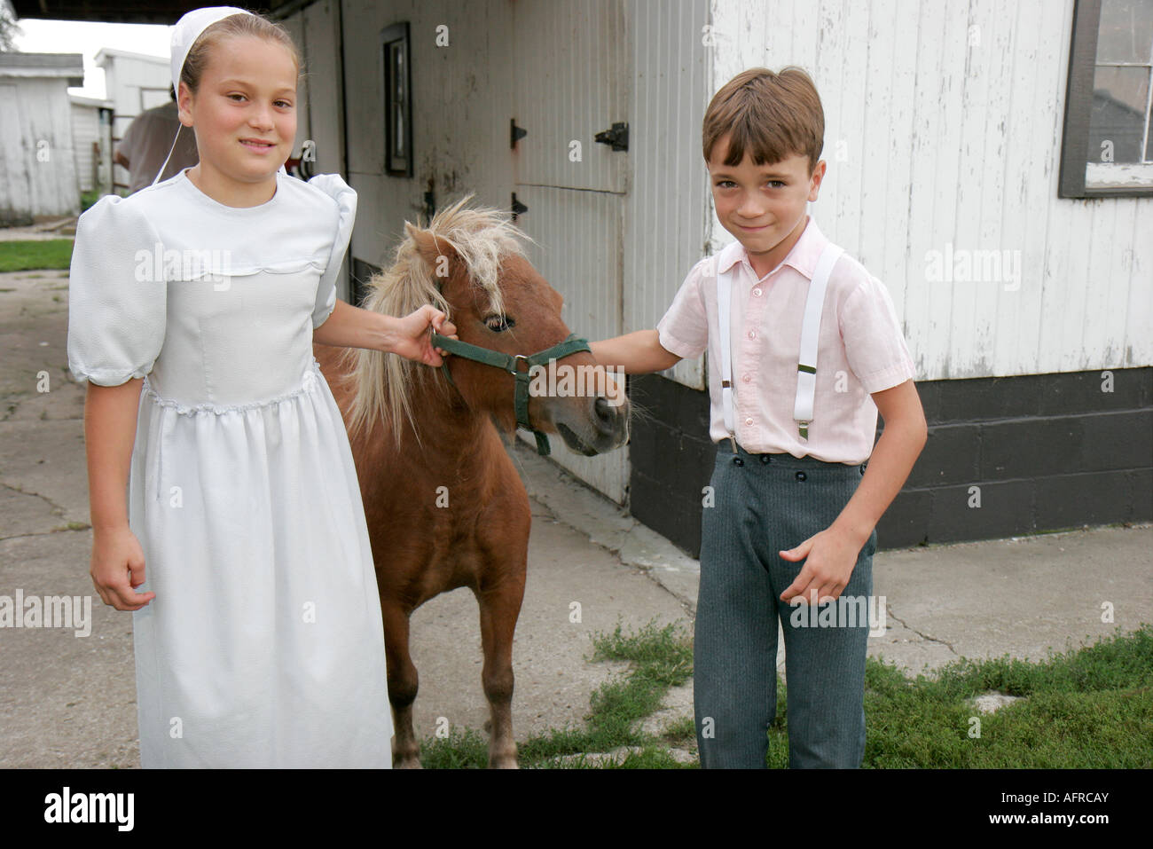 Indiana shipshewana amish farm tour hi-res stock photography and images ...