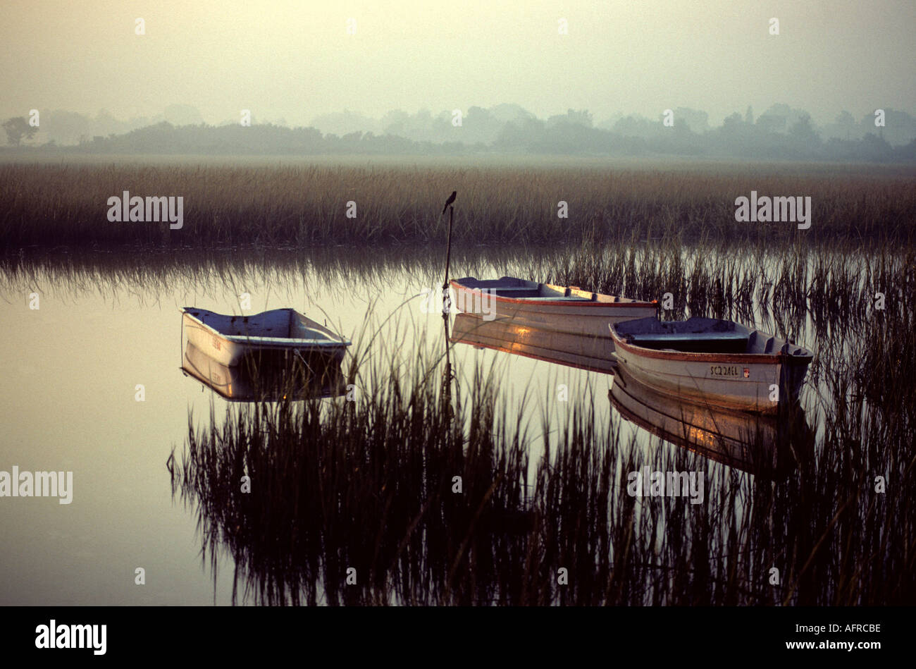 Boats early morning St Johns Island South Carolina USA Stock Photo - Alamy