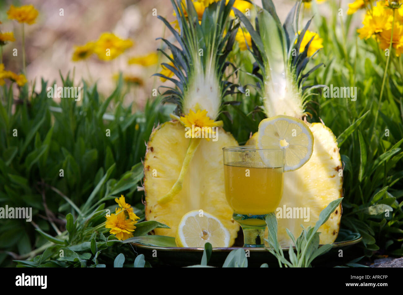 Close up of glass of pineapple juice in front of pineapple split in ...