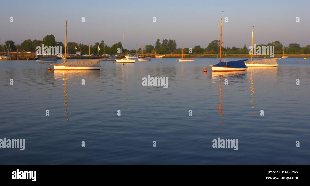 Oulton Broad, Suffolk on a summer morning Stock Photo - Alamy