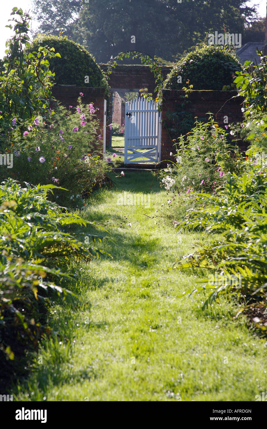 Grass path through borders to white gate in hedge with clipped topiary ...