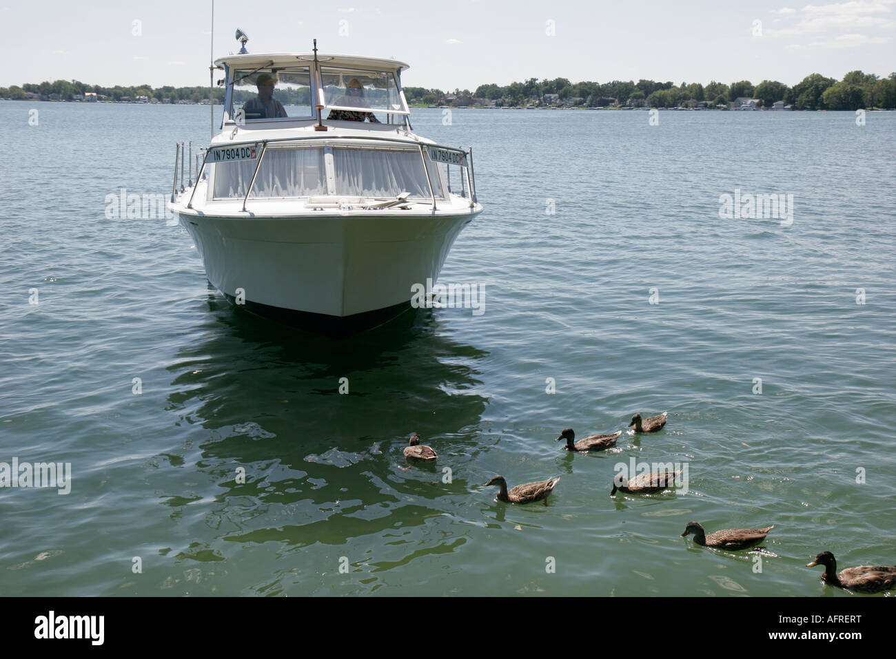Indiana Marshall County,Culver,Lake Maxinkuckee,boat,yacht,ducks ...