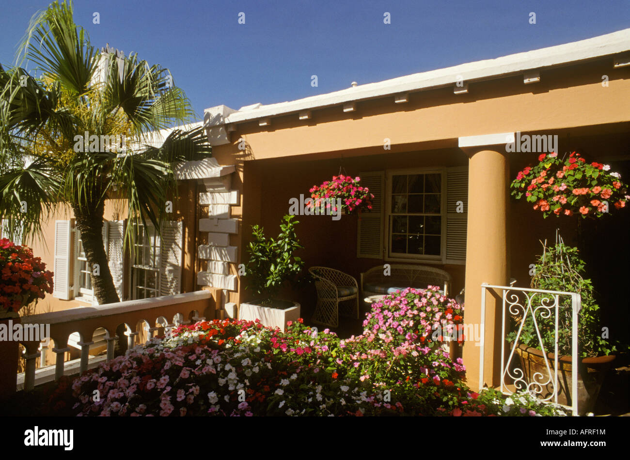 Hamilton Bermuda hotel porch portico palm tree Stock Photo - Alamy