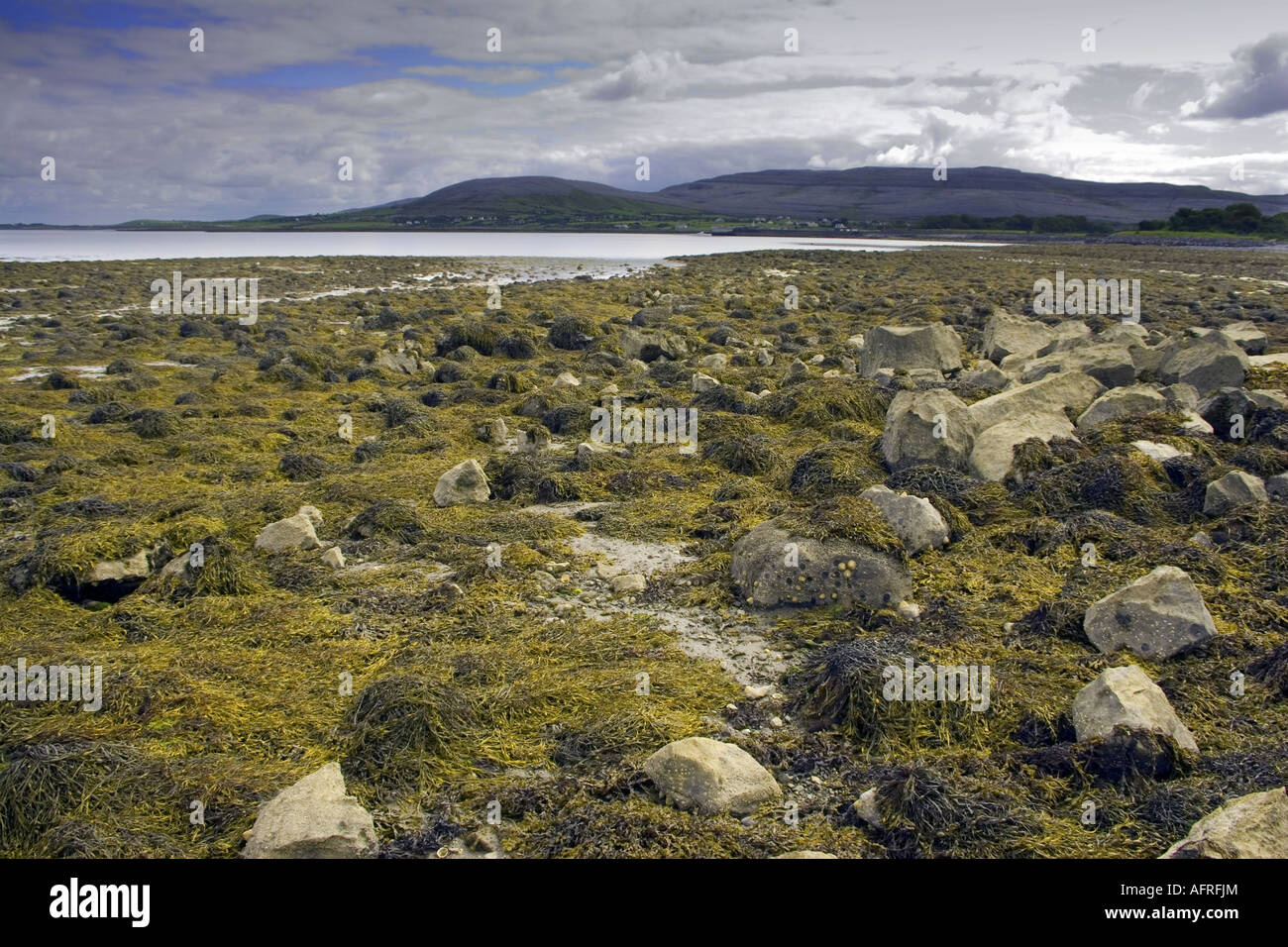 Rocky beach with view across Ballyvaughan Bay County Clare Ireland ...