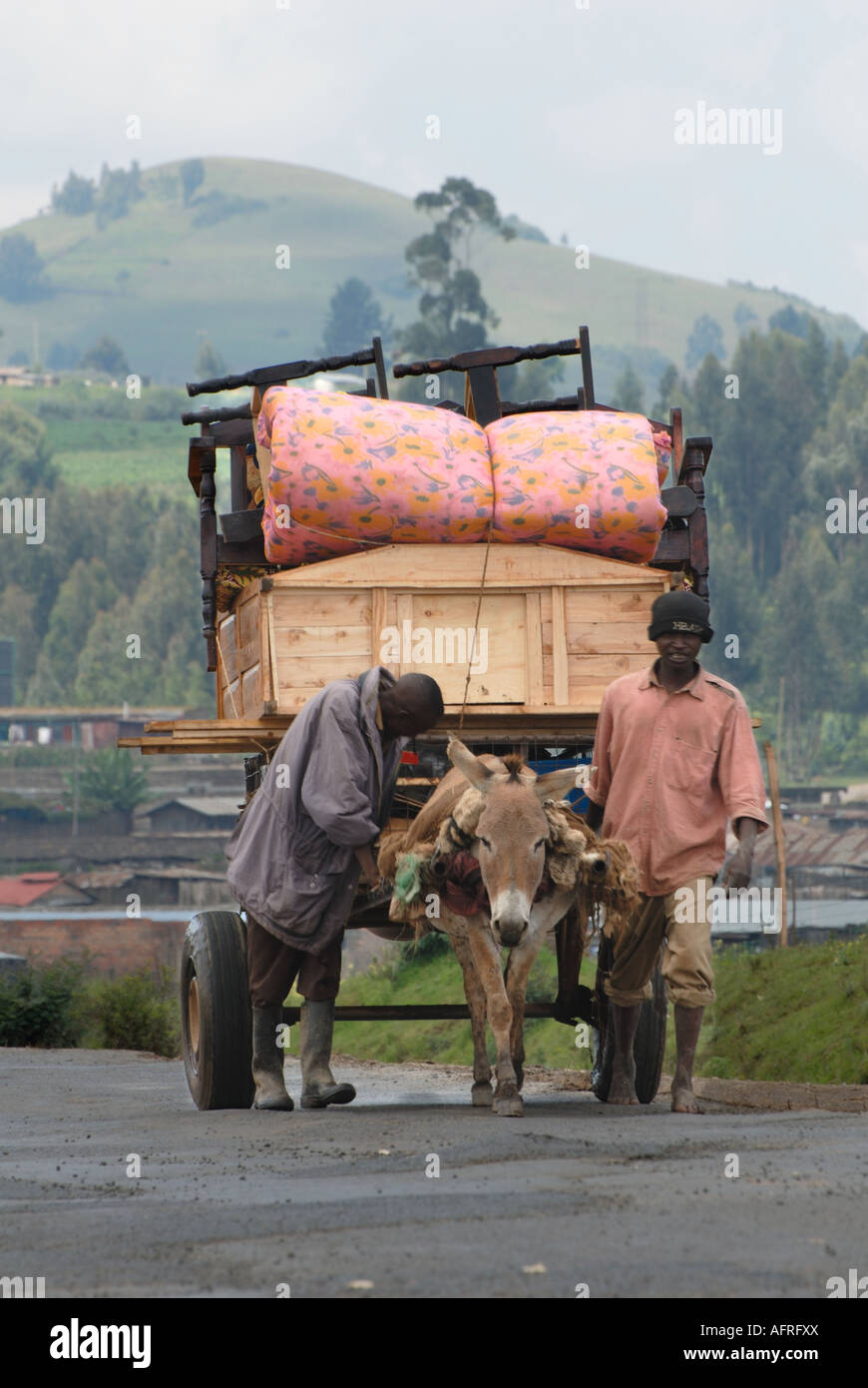 Two Kikuyu men with a donkey cart The cart is heavily loaded with ...