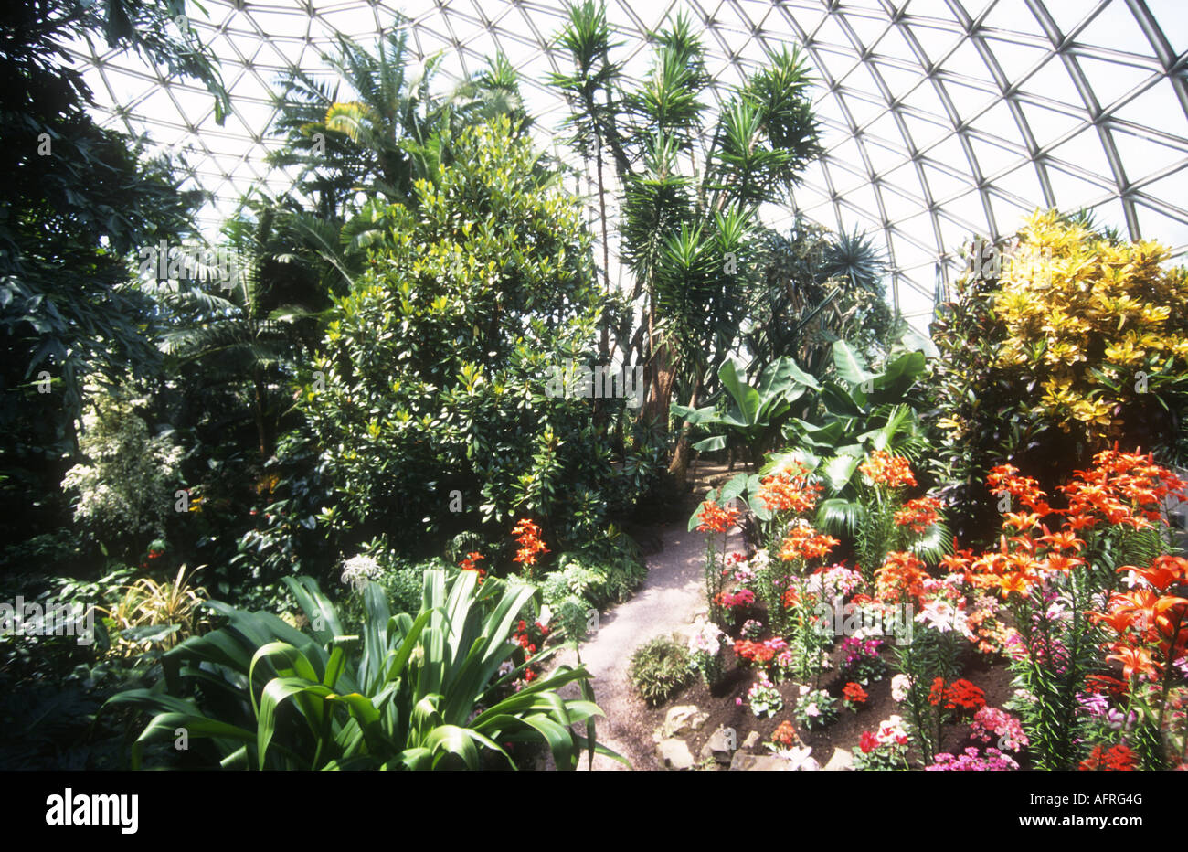 Vancouver glass dome hi-res stock photography and images - Alamy