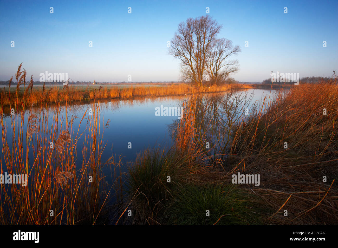The River Ant near Ludham Bridge in the Norfolk Broads on a spring ...