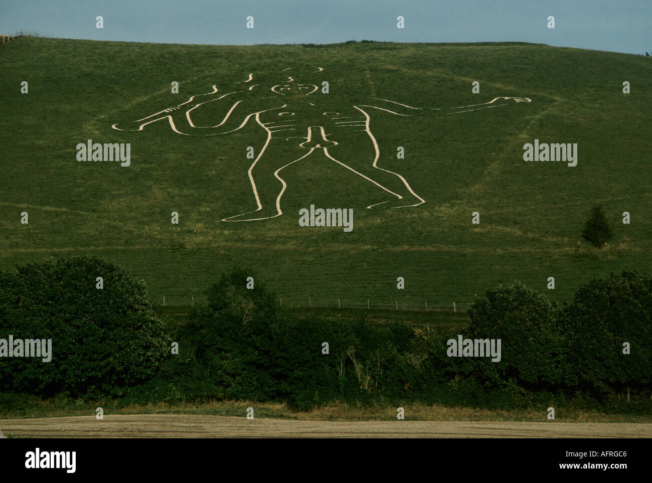 Cerne Abbas Giant, hill carving a Roman Hunter God. Cerne Abbas Dorset ...