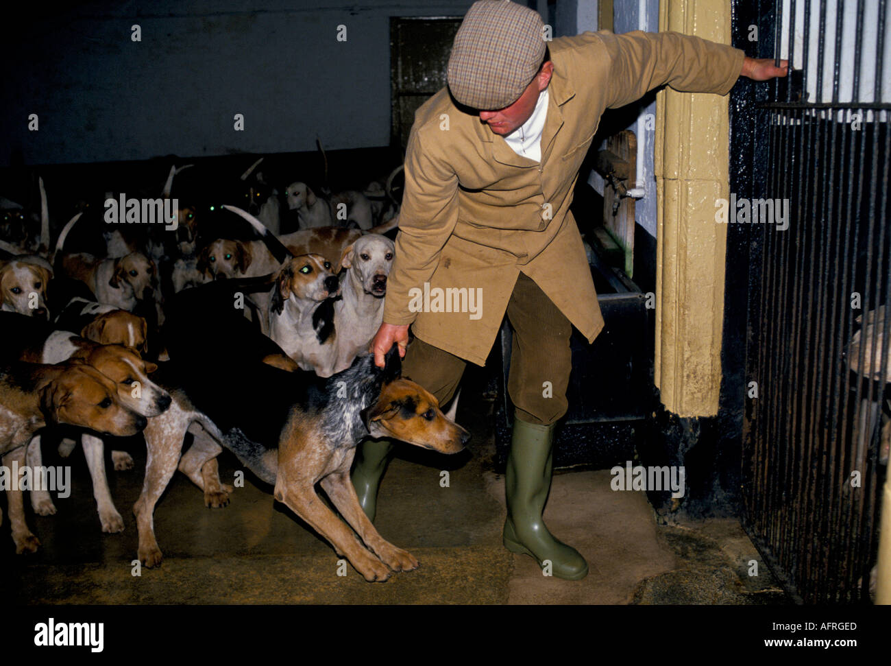 The hound and the huntsman hi-res stock photography and images - Alamy