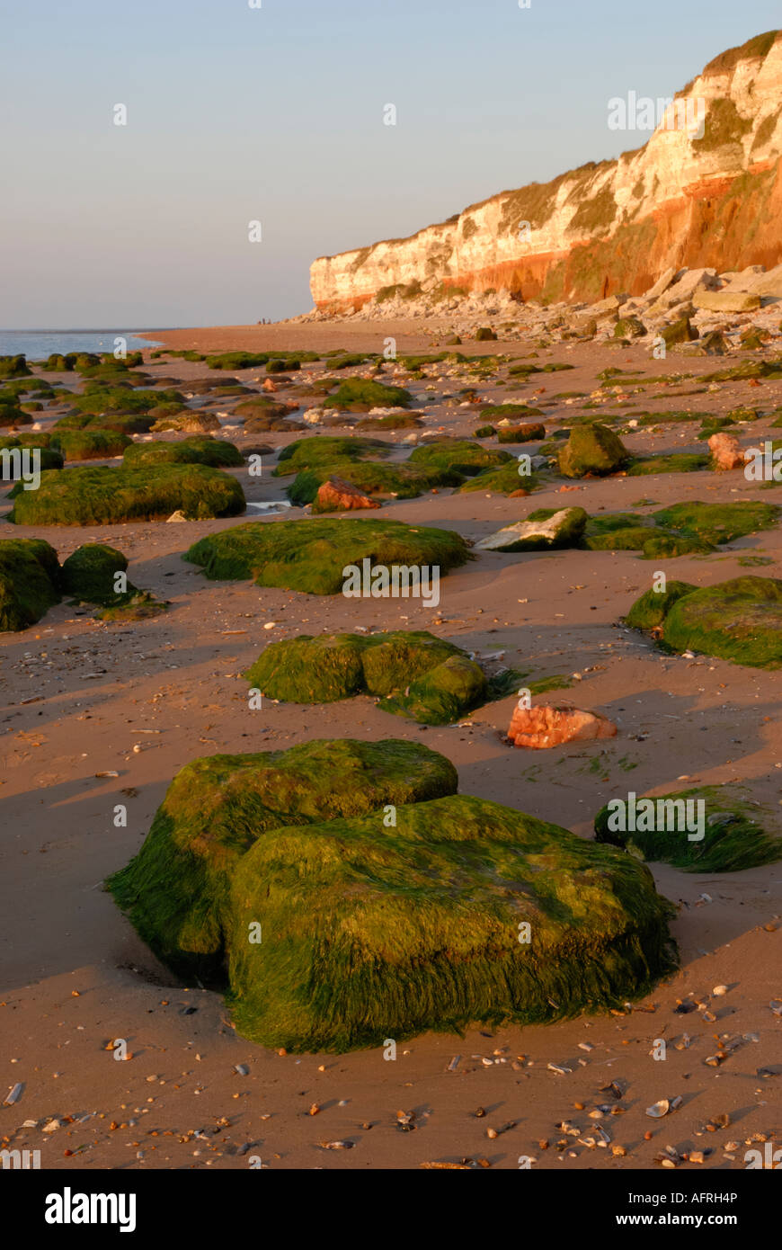 Hunstanton Cliff Norfolk England UK Stock Photo - Alamy