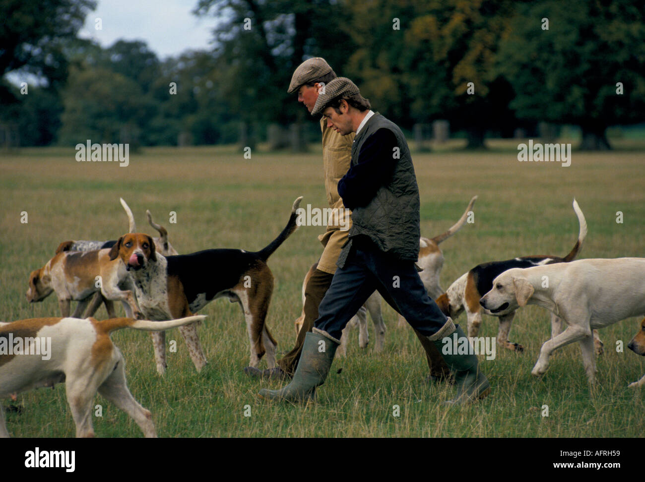 Bruce Hunt High Resolution Stock Photography and Images - Alamy