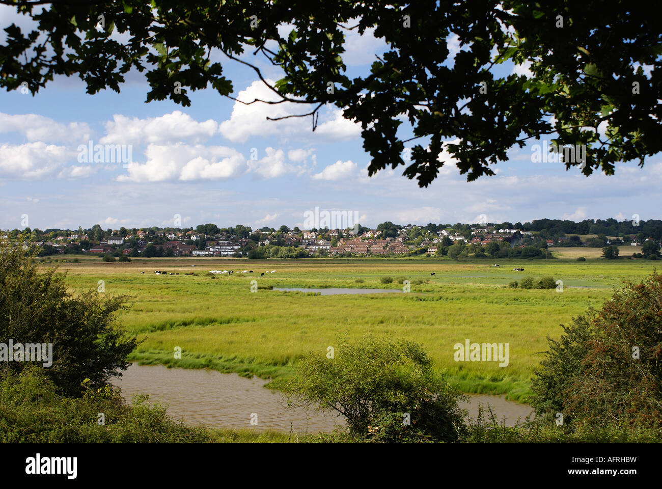 Pulborough Brooks Nature Reserve West Sussex Stock Photo - Alamy