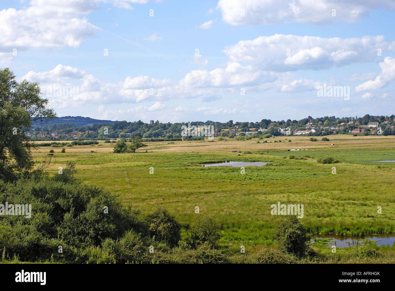 Pulborough Brooks Nature Reserve West Sussex Stock Photo - Alamy