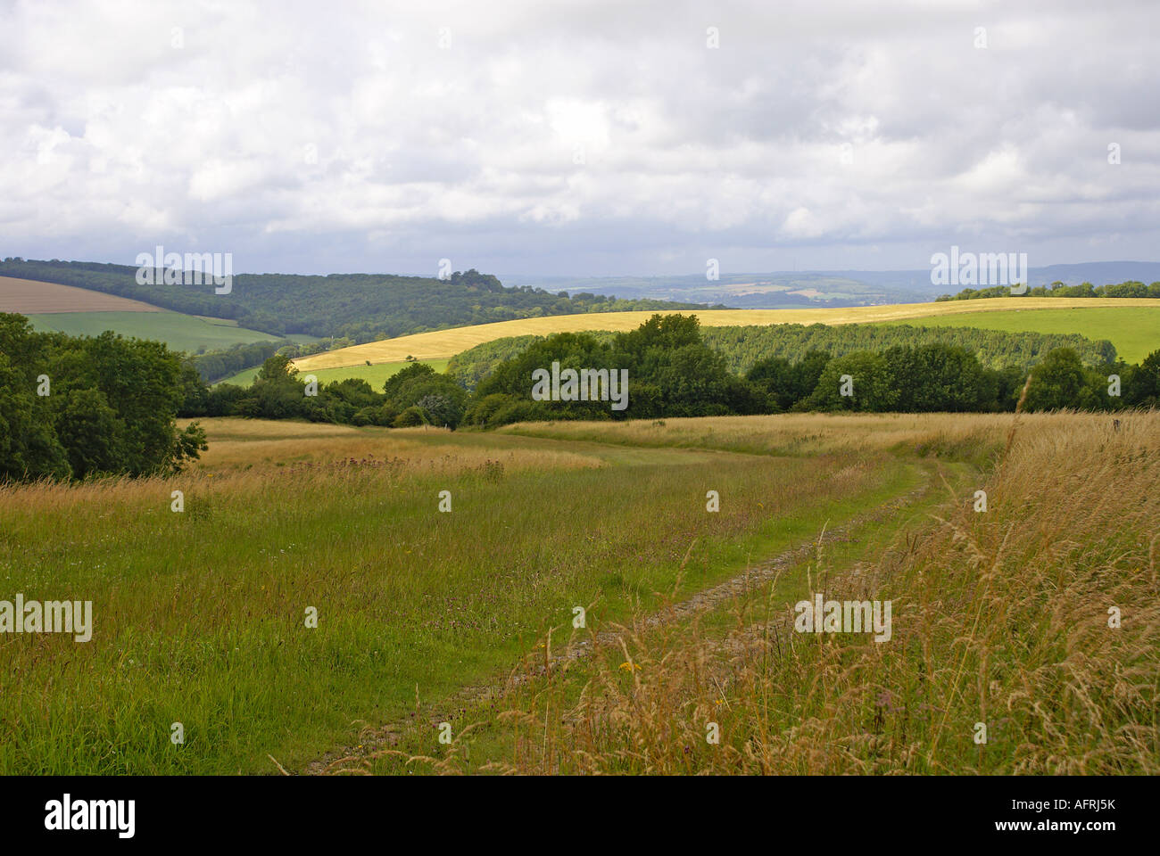 Bignor Hill South Downs West Sussex Stock Photo - Alamy