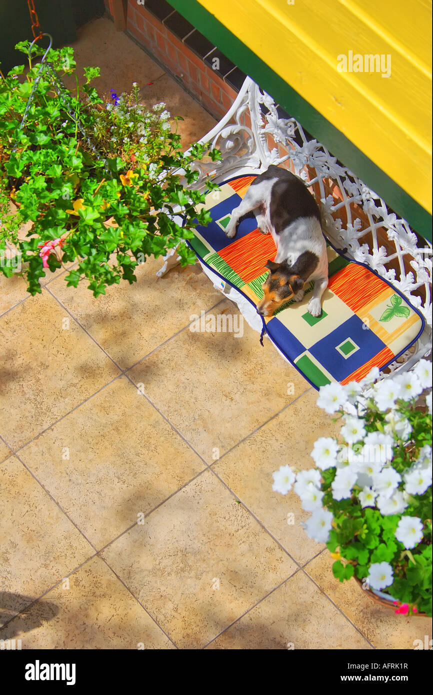 Taking a nap concept hi-res stock photography and images - Alamy