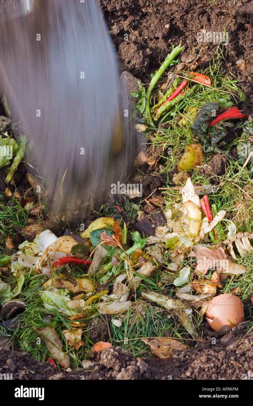DIGGING IN FRESH COMPOST INTO MARROW PLANTING HOLES Stock Photo - Alamy