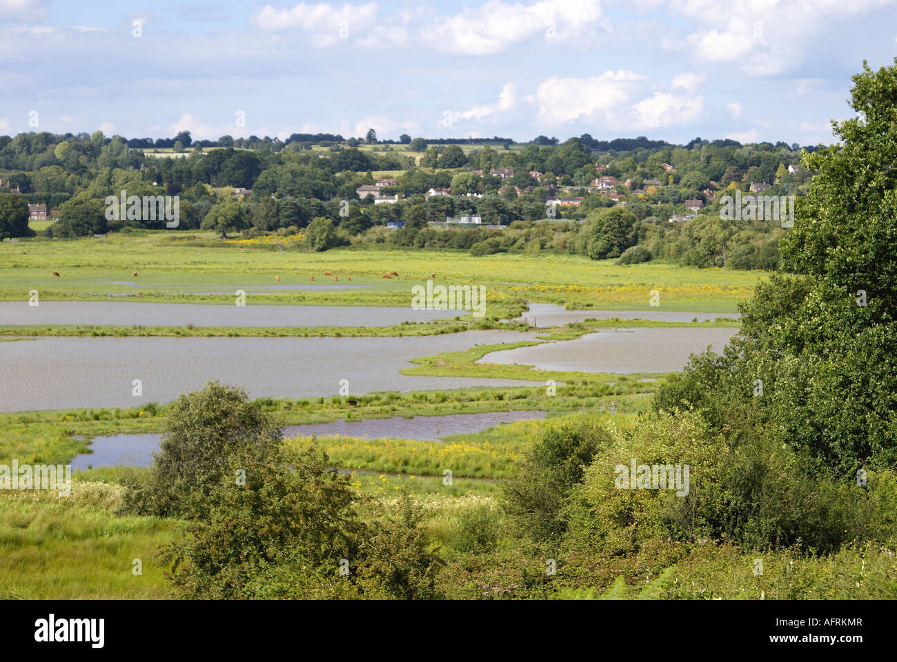Pulborough brooks uk reserve hi-res stock photography and images - Alamy