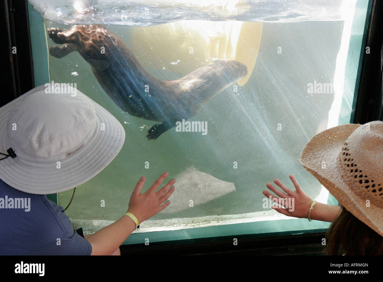 Indiana LaPorte County,Michigan City,Washington Park Zoo,giant otter ...