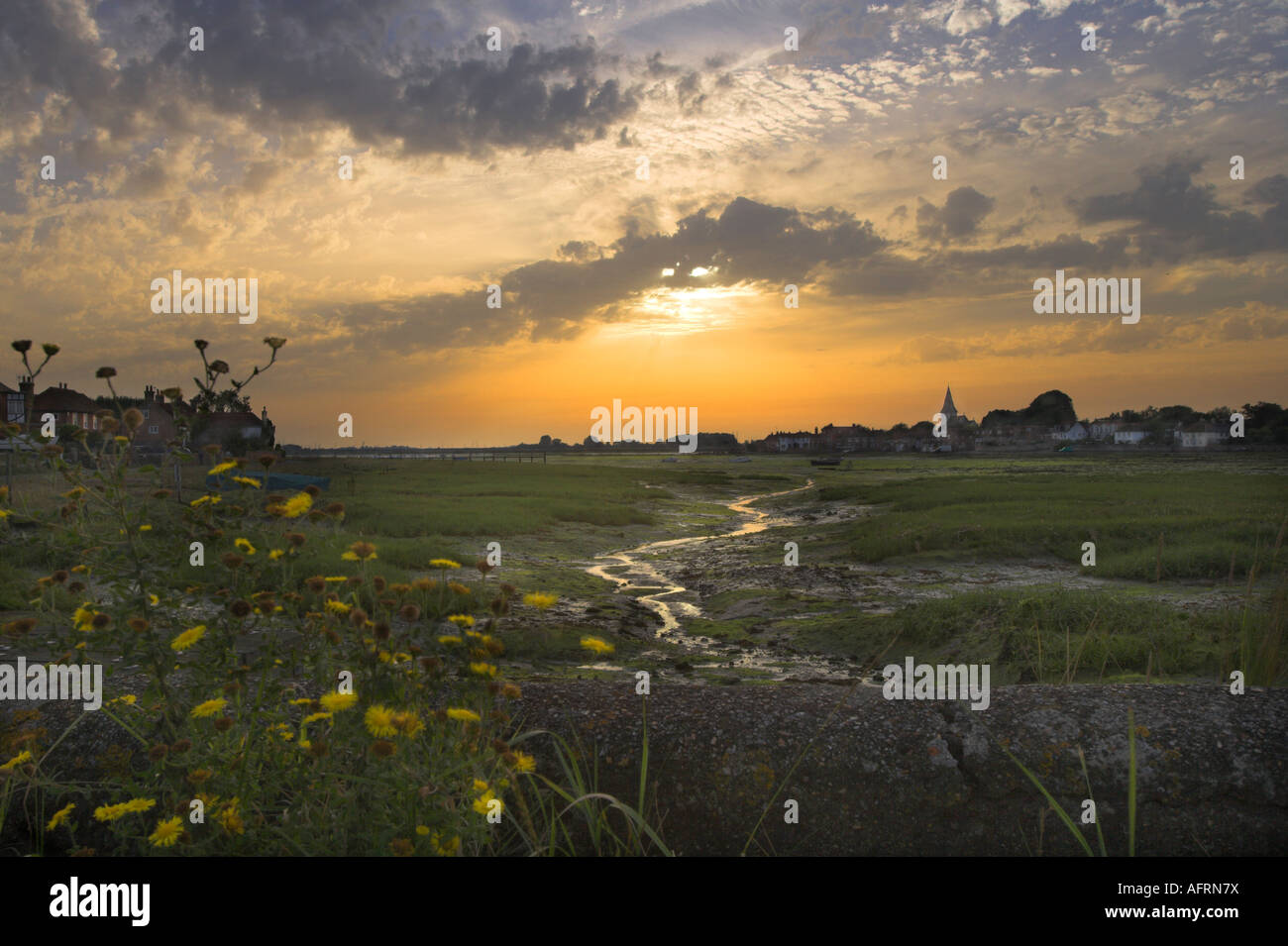 Bosham Bay sunset at low tide with flowers and village in background ...