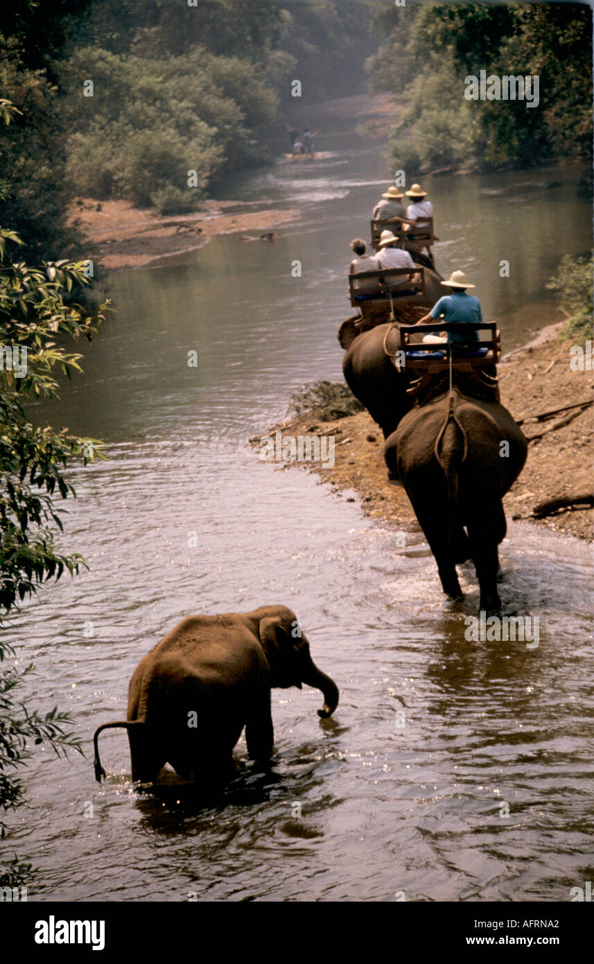 European tourists enjoy riding elephants in a tourist Elephant Park in ...