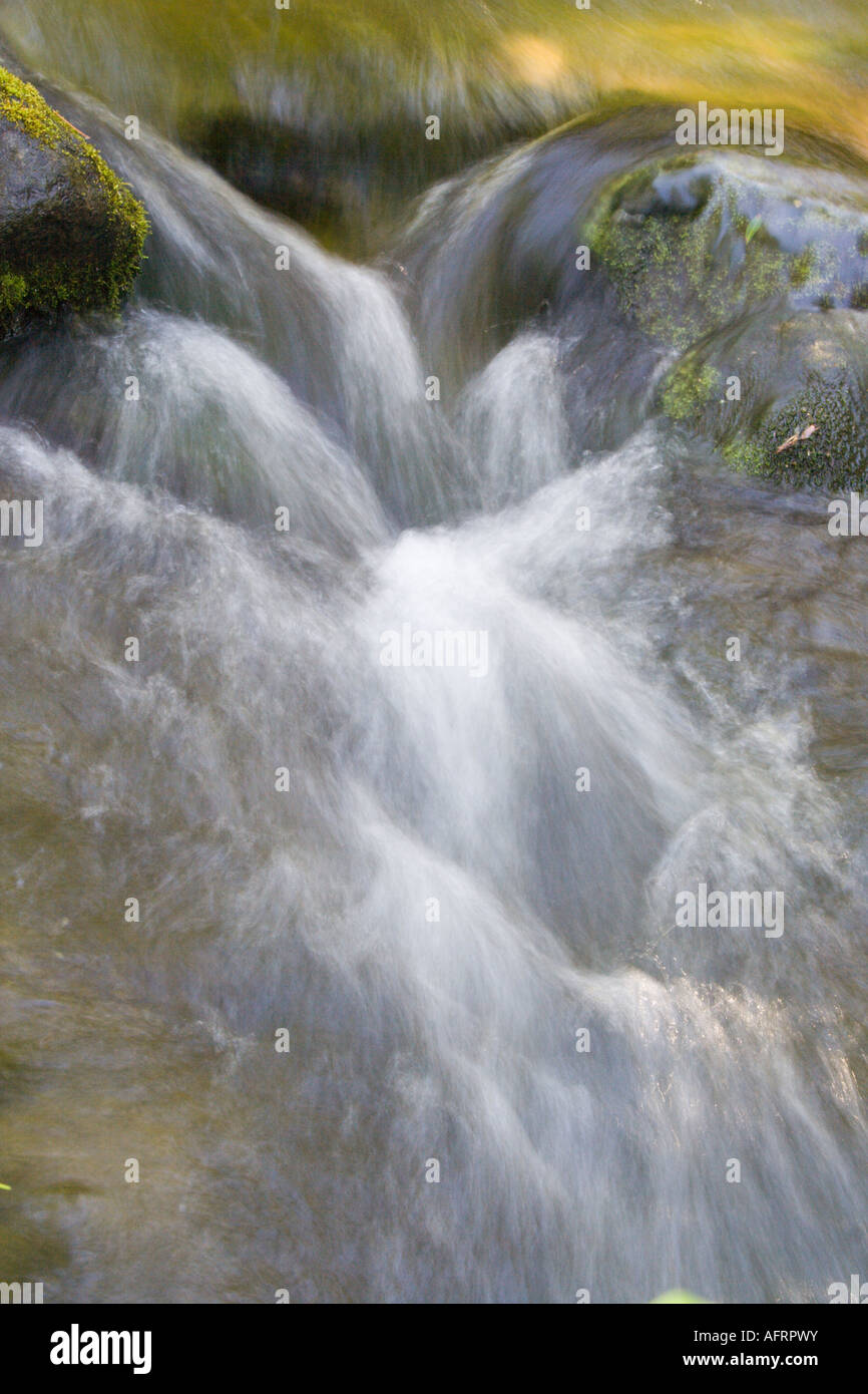 mountain stream running over mossy rocks in siberia Stock Photo - Alamy