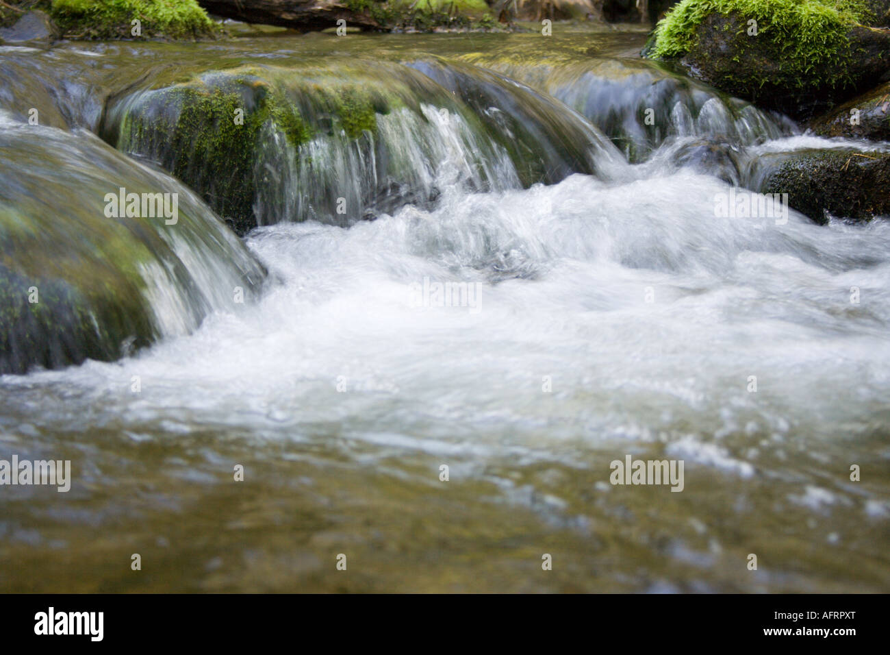 mountain stream running over mossy rocks in siberia Stock Photo - Alamy