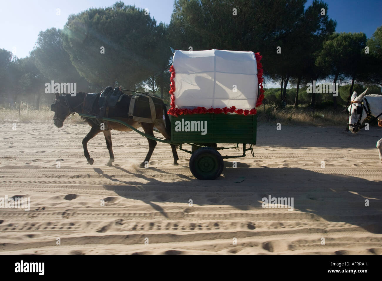 Mule drawn wagon hi-res stock photography and images - Alamy