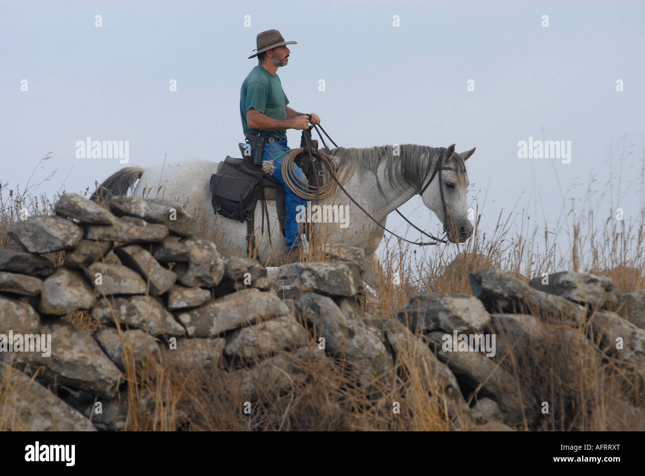 Israeli cattle rancher Avshi Ferstman from the village of Had-Nes ...