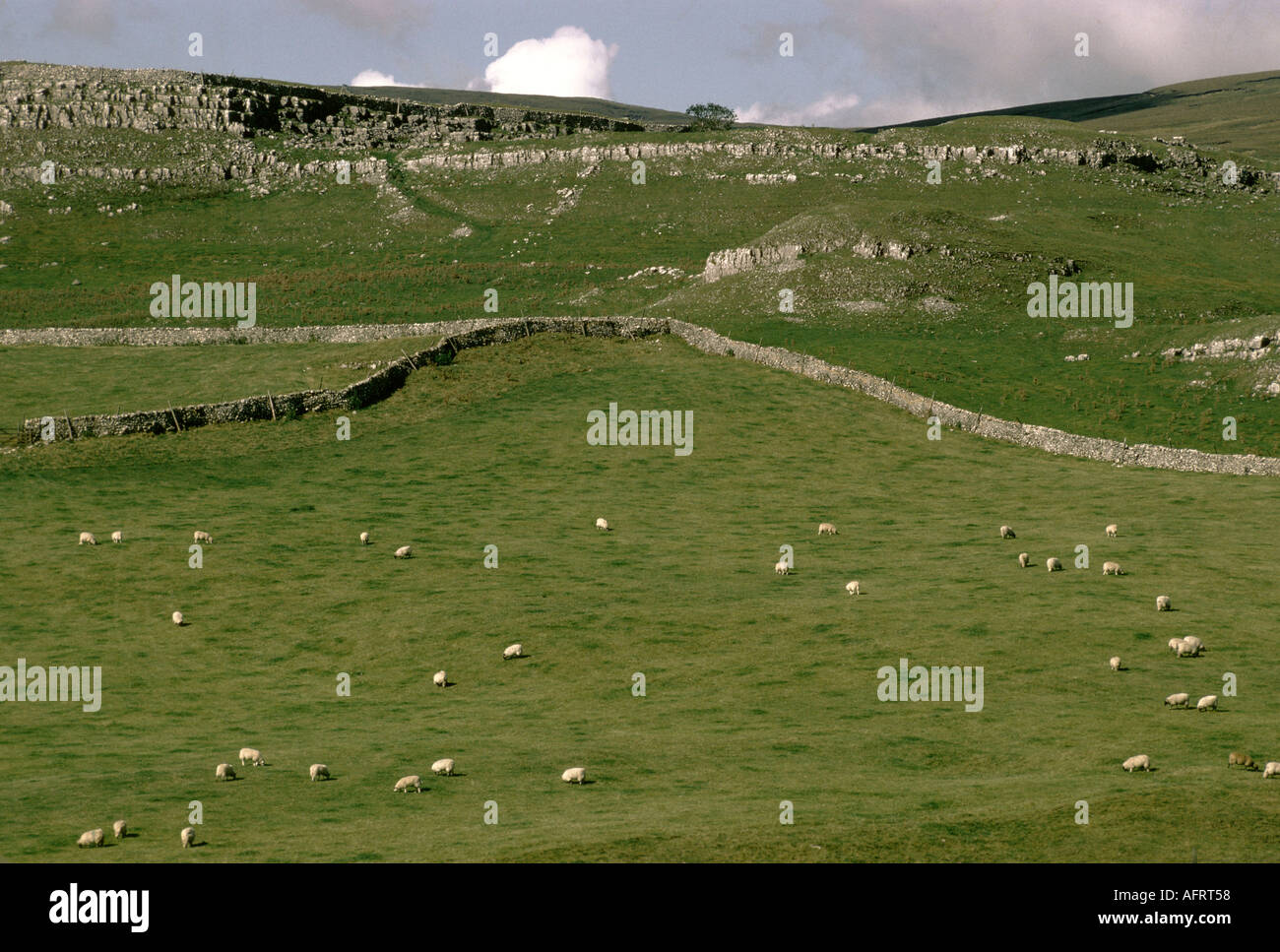 MALHAM MOOR YORKSHIRE NATIONAL PARK PHOTO HOMER SYKES Stock Photo - Alamy