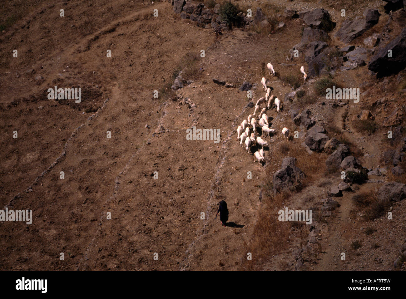 Woman herding goats hi-res stock photography and images - Alamy