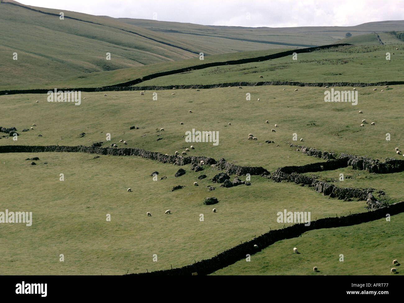 MALHAM MOOR YORKSHIRE NATIONAL PARK HOMER SYKES Stock Photo - Alamy