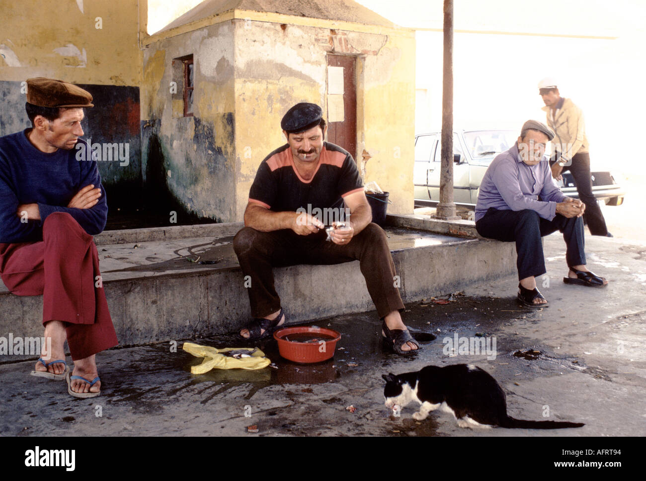 Alvor Portugal the Algarve 1980s local men feeding a stray cat in the ...