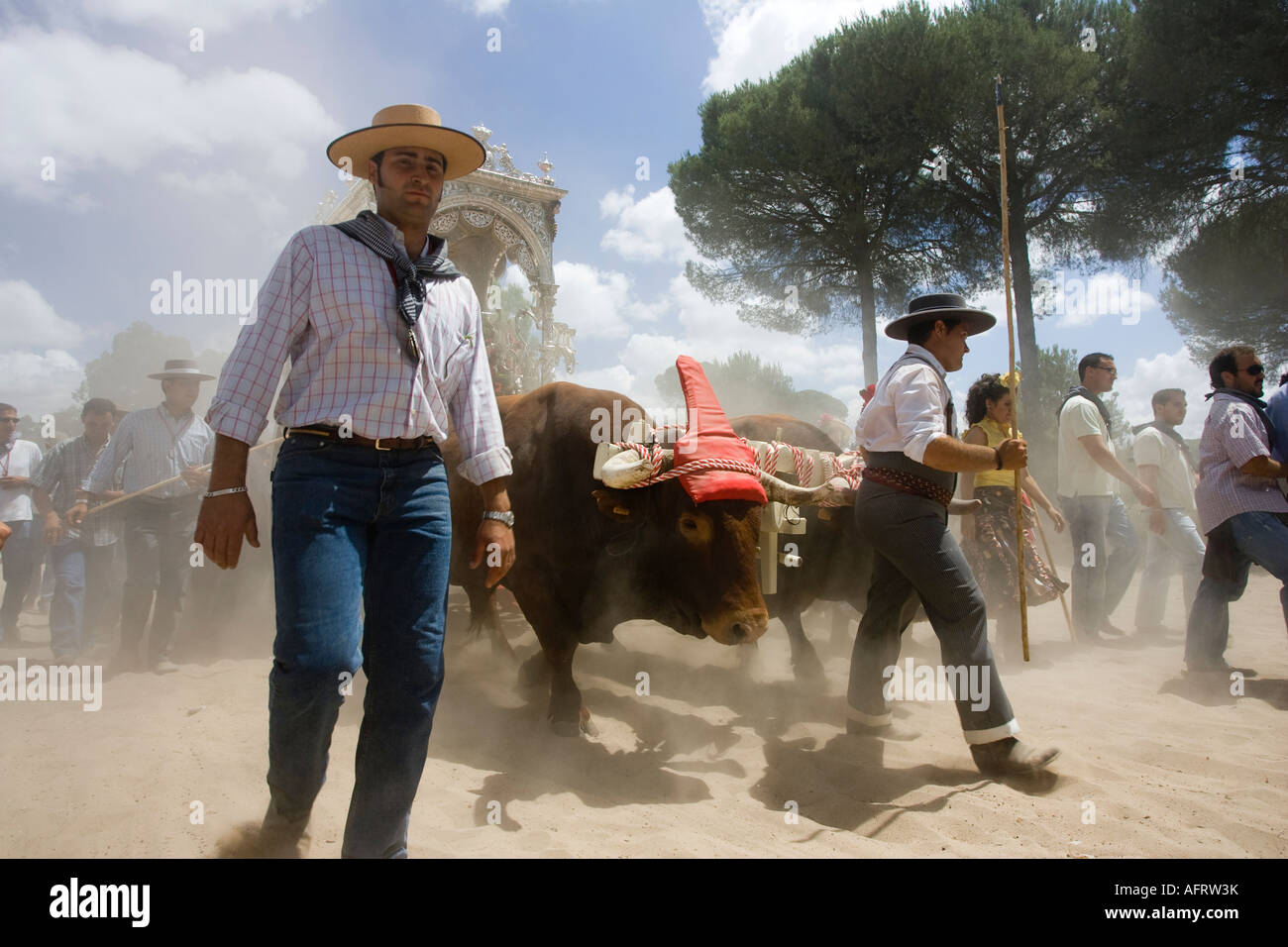 Driving oxen hi-res stock photography and images - Alamy