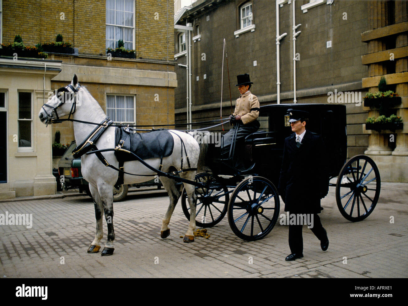Royal horses mews hi-res stock photography and images - Alamy