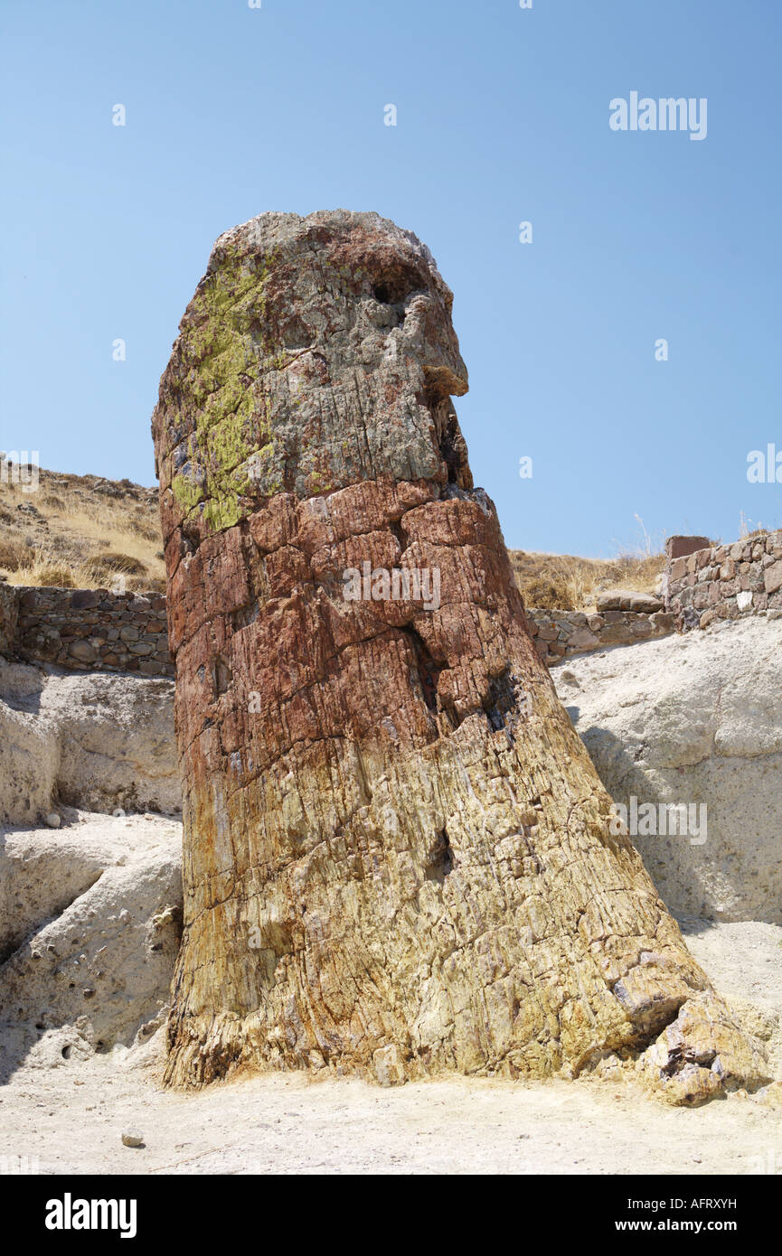 Landscape in island Lesbos Territory Petrified Forest Greece Stock ...