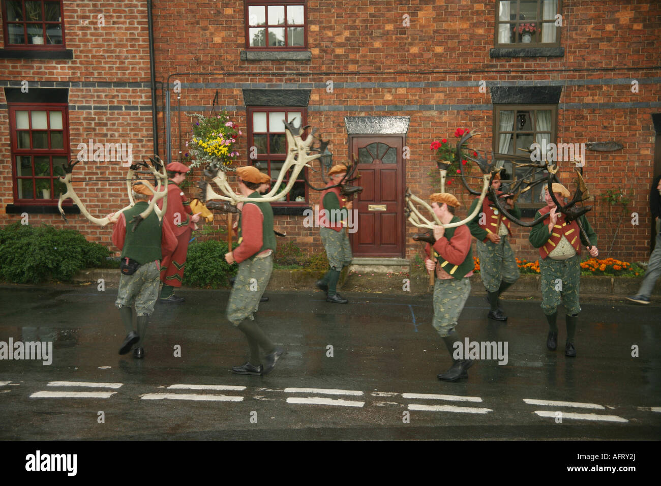 Needwood forest hi-res stock photography and images - Alamy