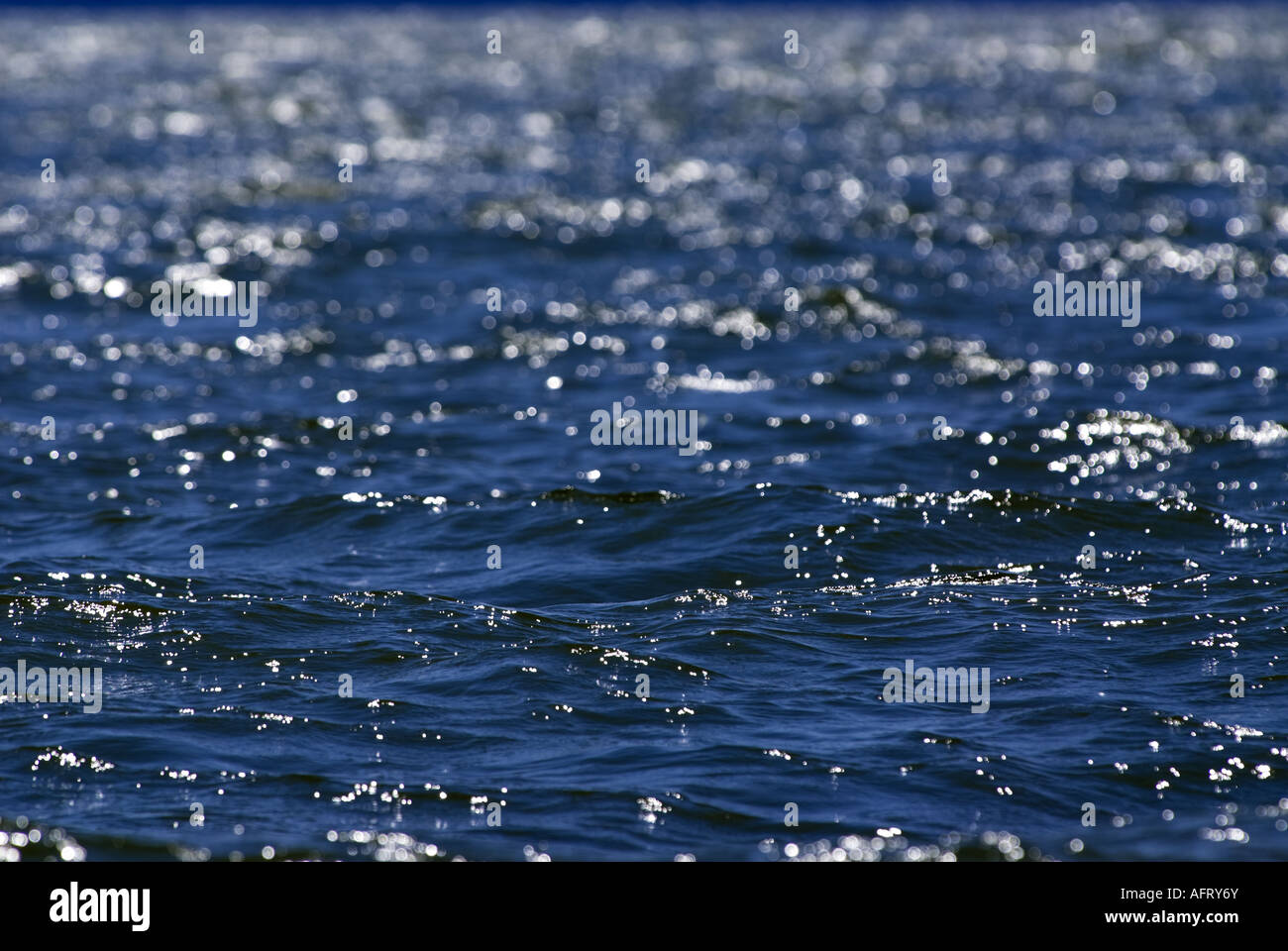 Waves ripple across windswept blue lake Big Pine Lake Ottertail County ...